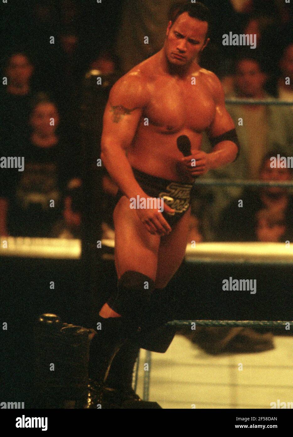 Dwayne The Rock Johnson 1999Photo By John Barrett/PHOTOlink ...