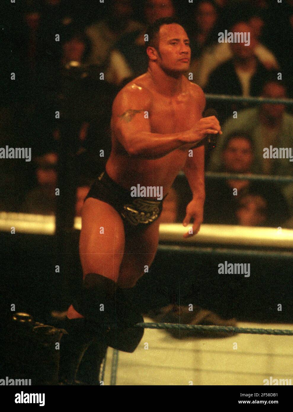 Dwayne The Rock Johnson 1999Photo By John Barrett/PHOTOlink ...