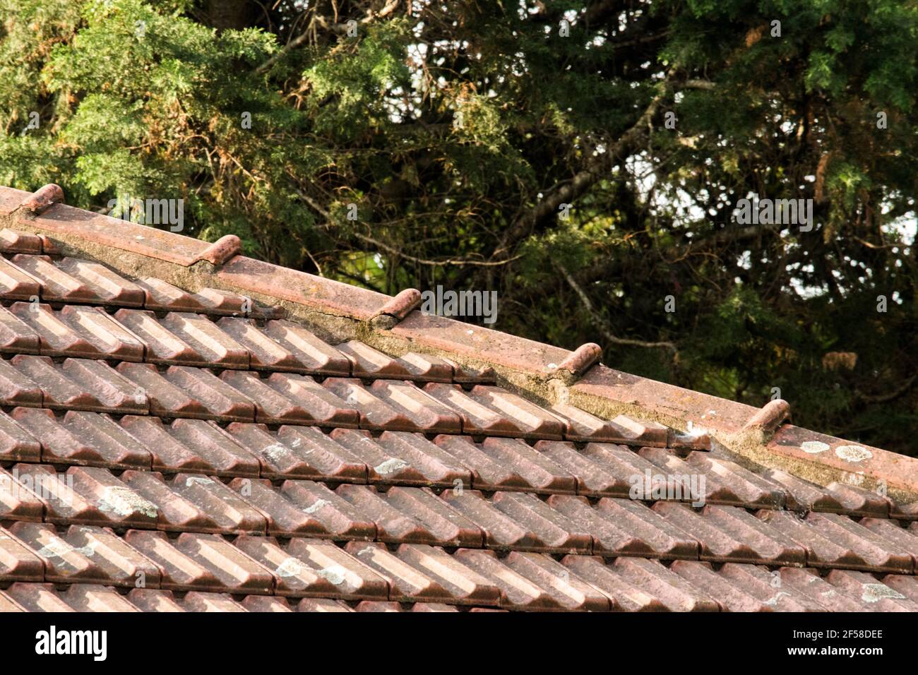 french tile roof Stock Photo - Alamy