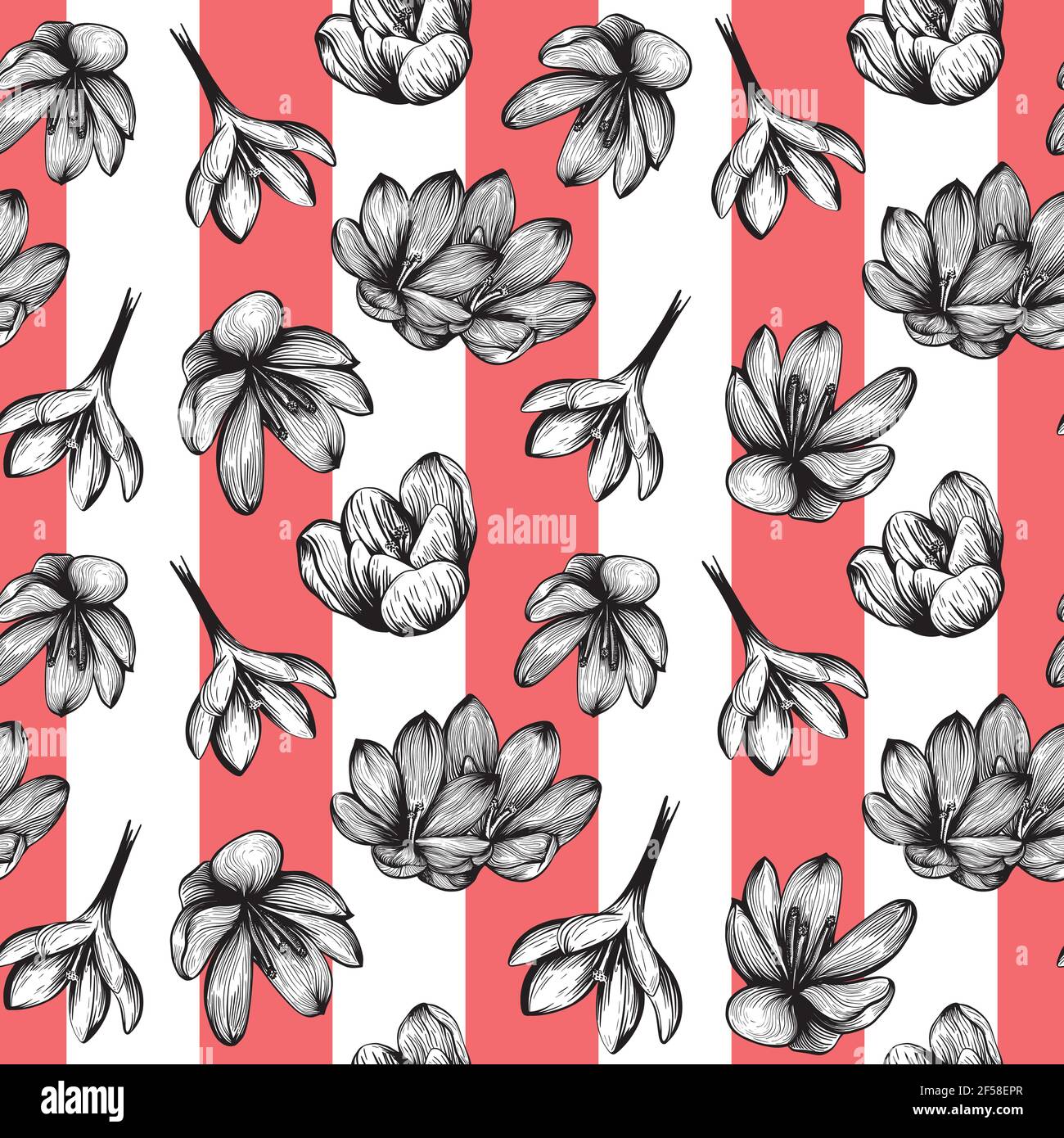 Saffron Pistil Stock Vector Images - Alamy