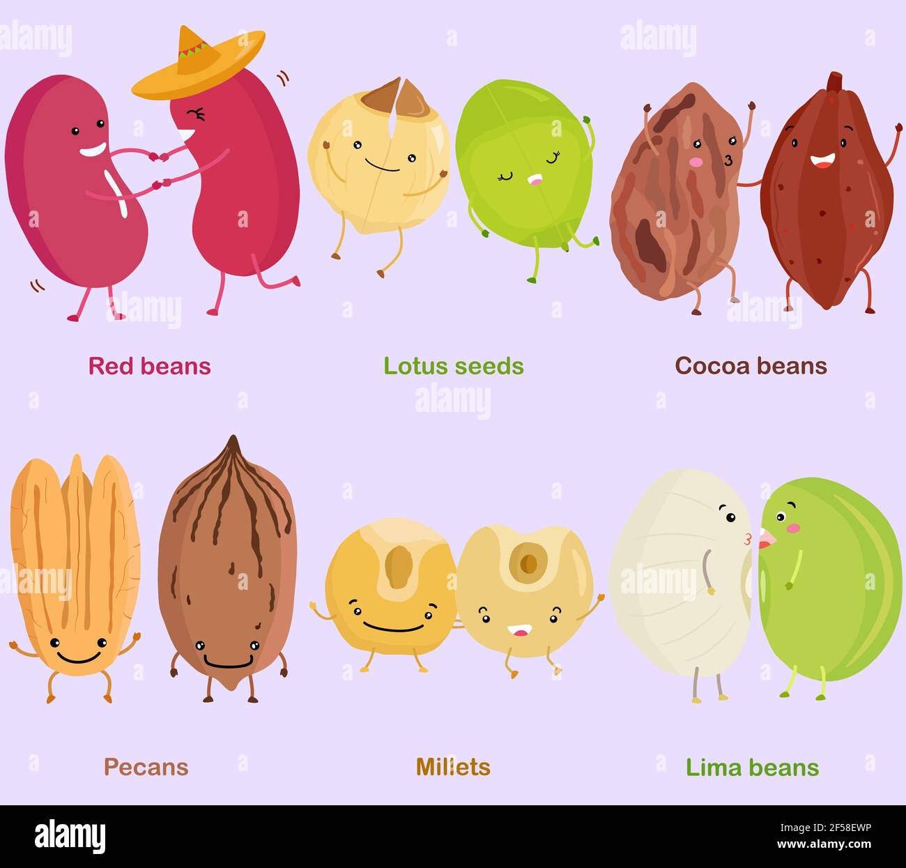 Vector of Bean, Nut, Seed - Red bean, Lotus seed, Cocoa bean, Pecan ...