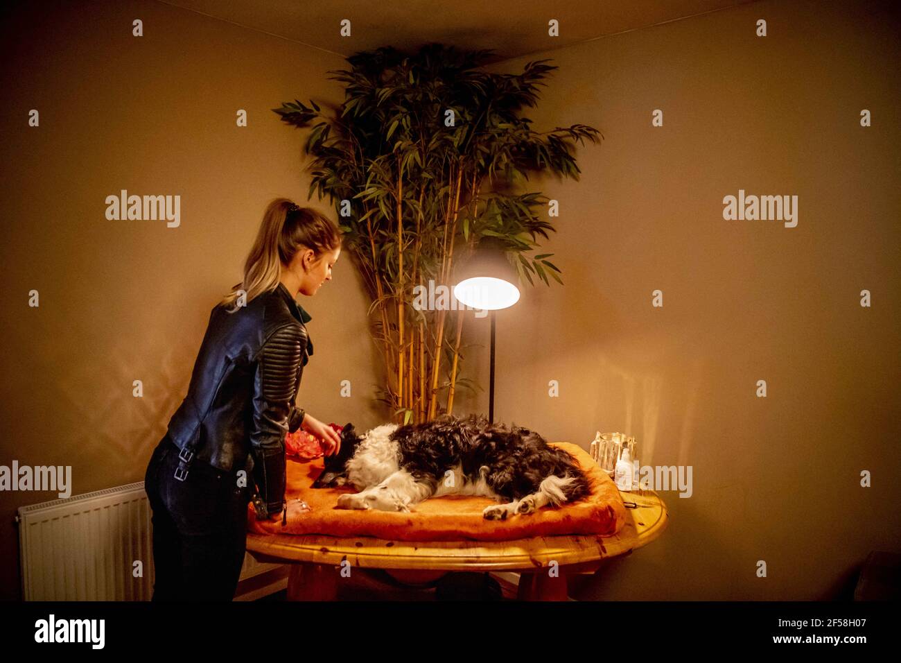 Pet crematorium hi-res stock photography and images - Alamy