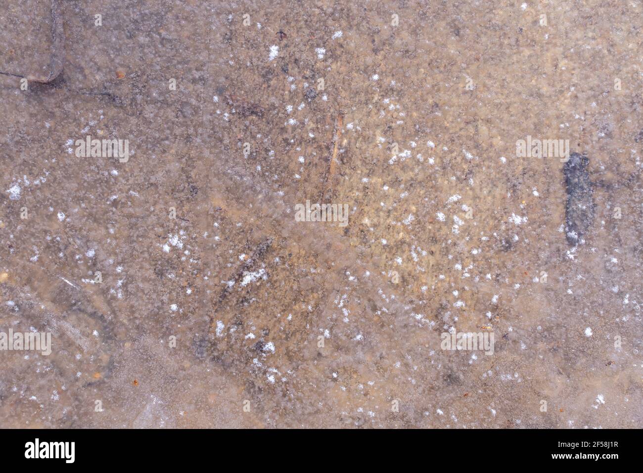 the puddle is covered with ice. ice texture Stock Photo - Alamy