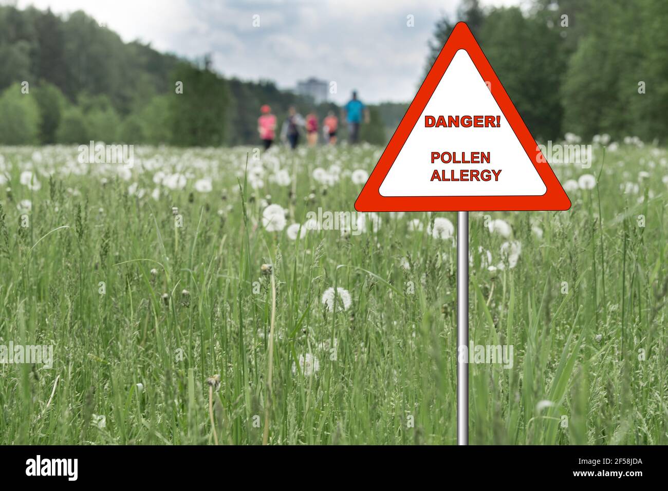warning sign: danger pollen allergy against the background of a field ...