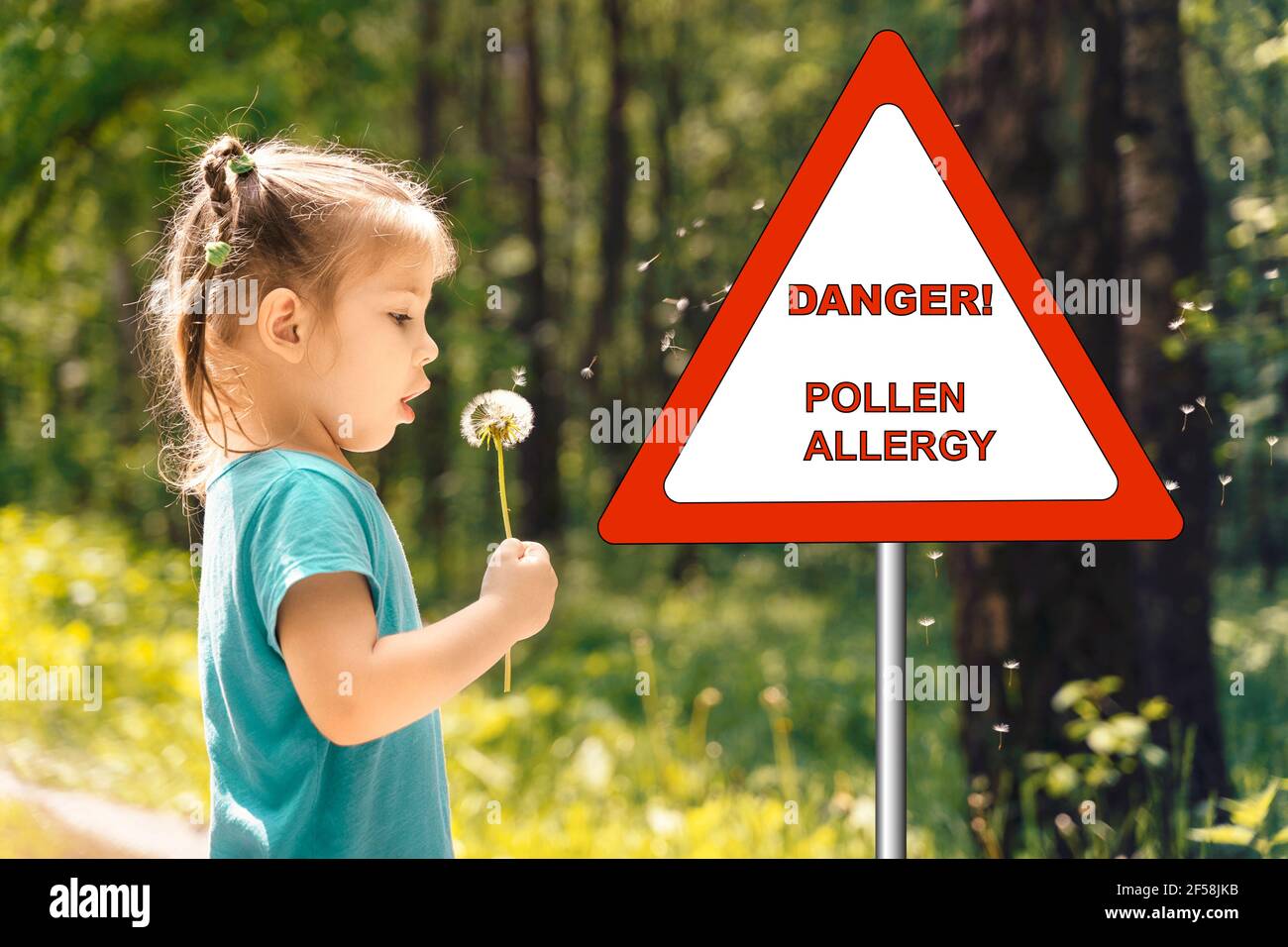 Little girl blows on dandelion. warning sign: danger pollen allergy ...