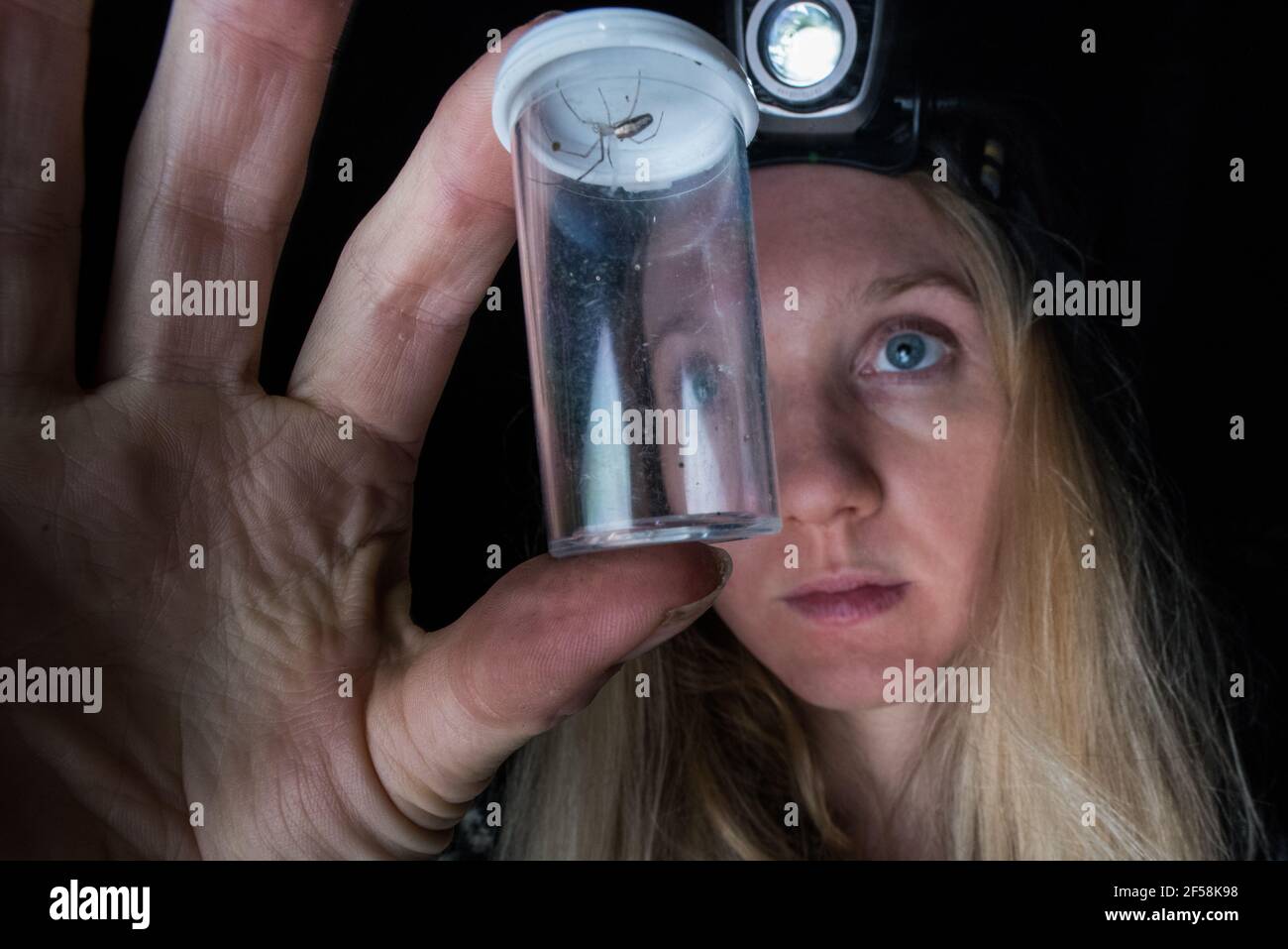 A female entomologist peers into a vial containing a spider collected ...