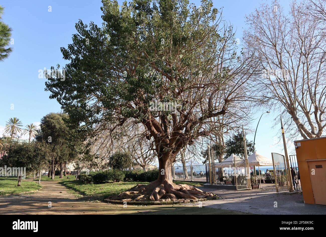 Giardino secolare hi-res stock photography and images - Alamy