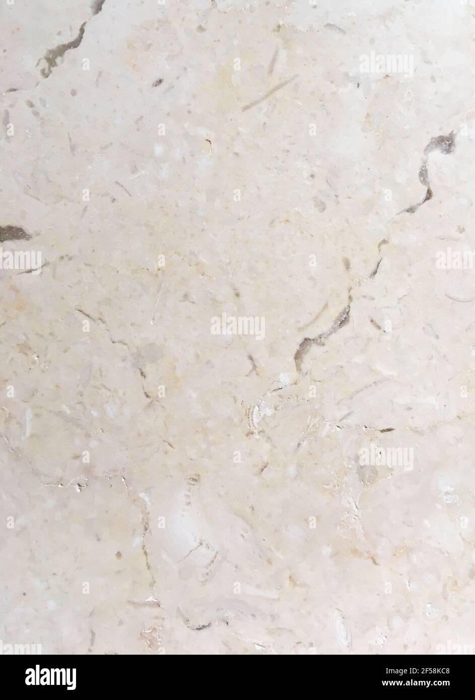 new beige marble Stock Photo - Alamy