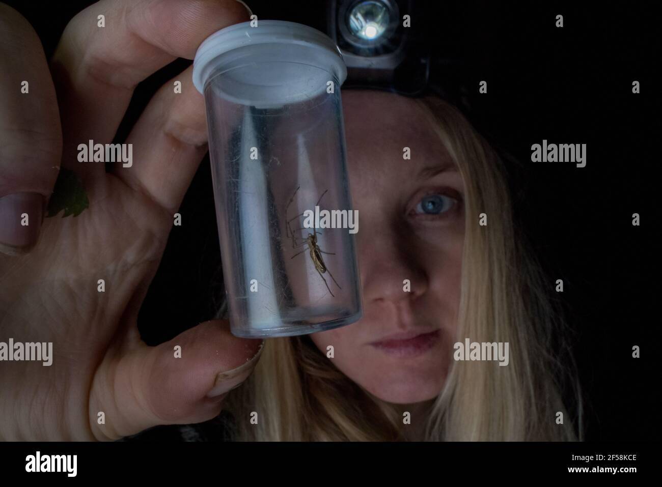 A female entomologist peers into a vial containing a spider collected ...