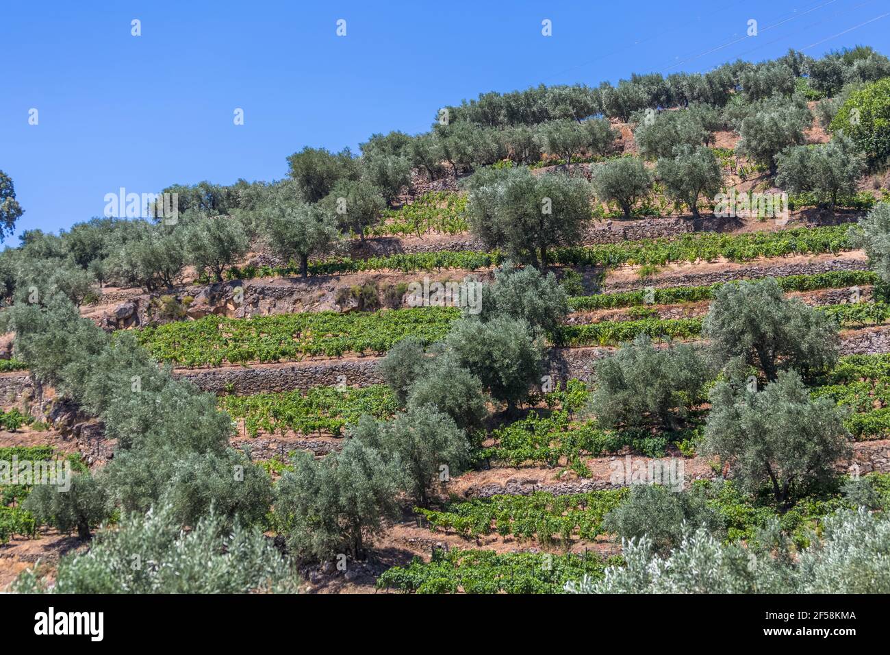 Typical landscape of the highlands in the north of Portugal, levels for ...