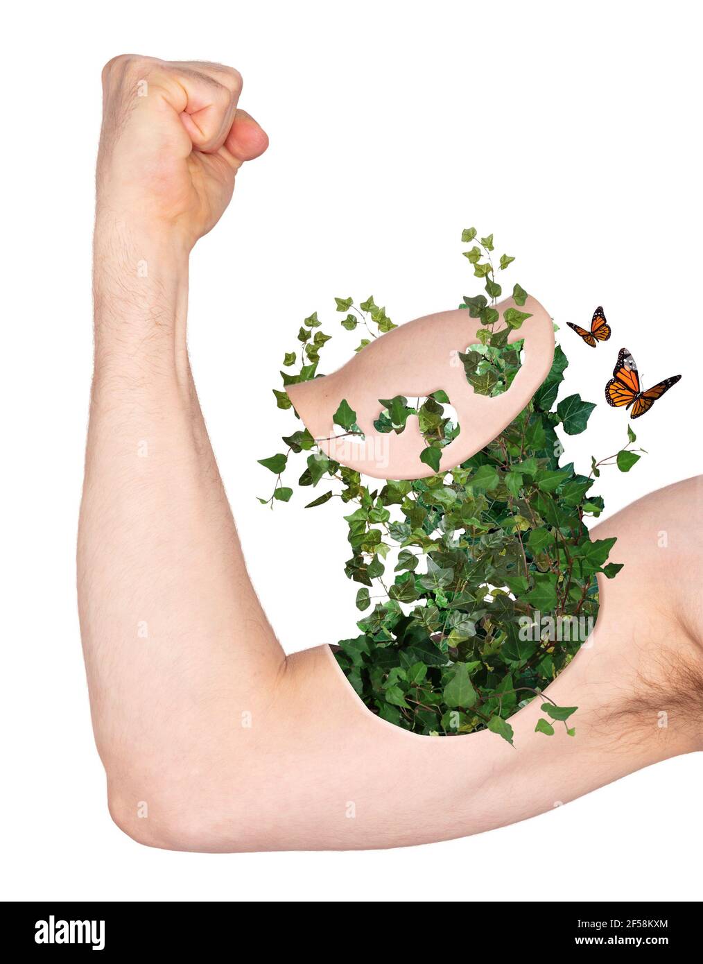 Strong vine Cut Out Stock Images & Pictures - Alamy