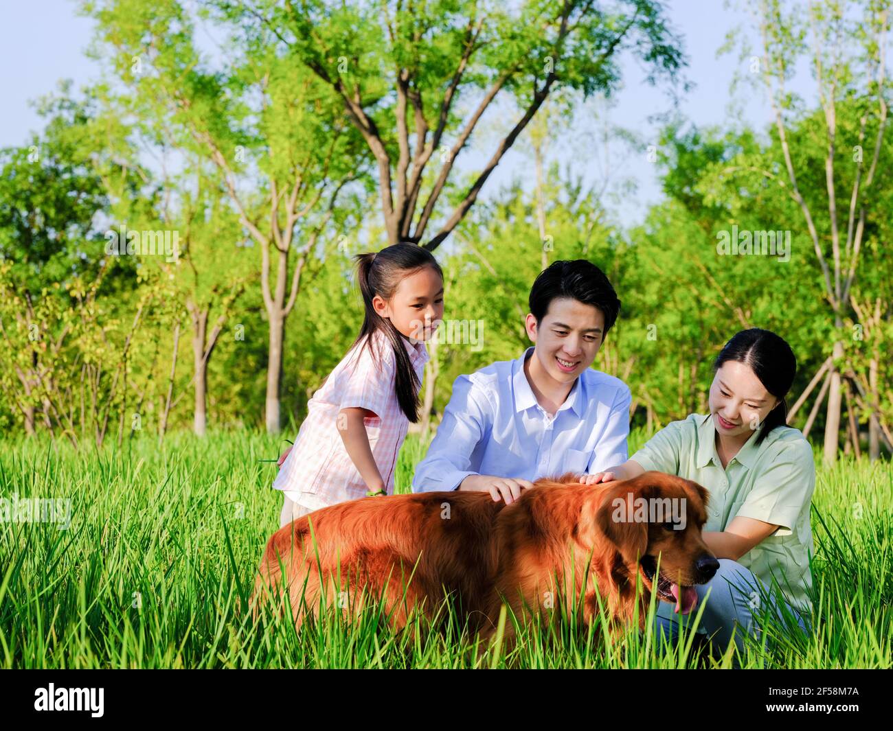Parents company hi-res stock photography and images - Alamy