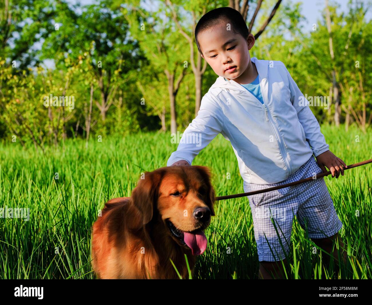Chinese girl playing pet hi-res stock photography and images - Alamy