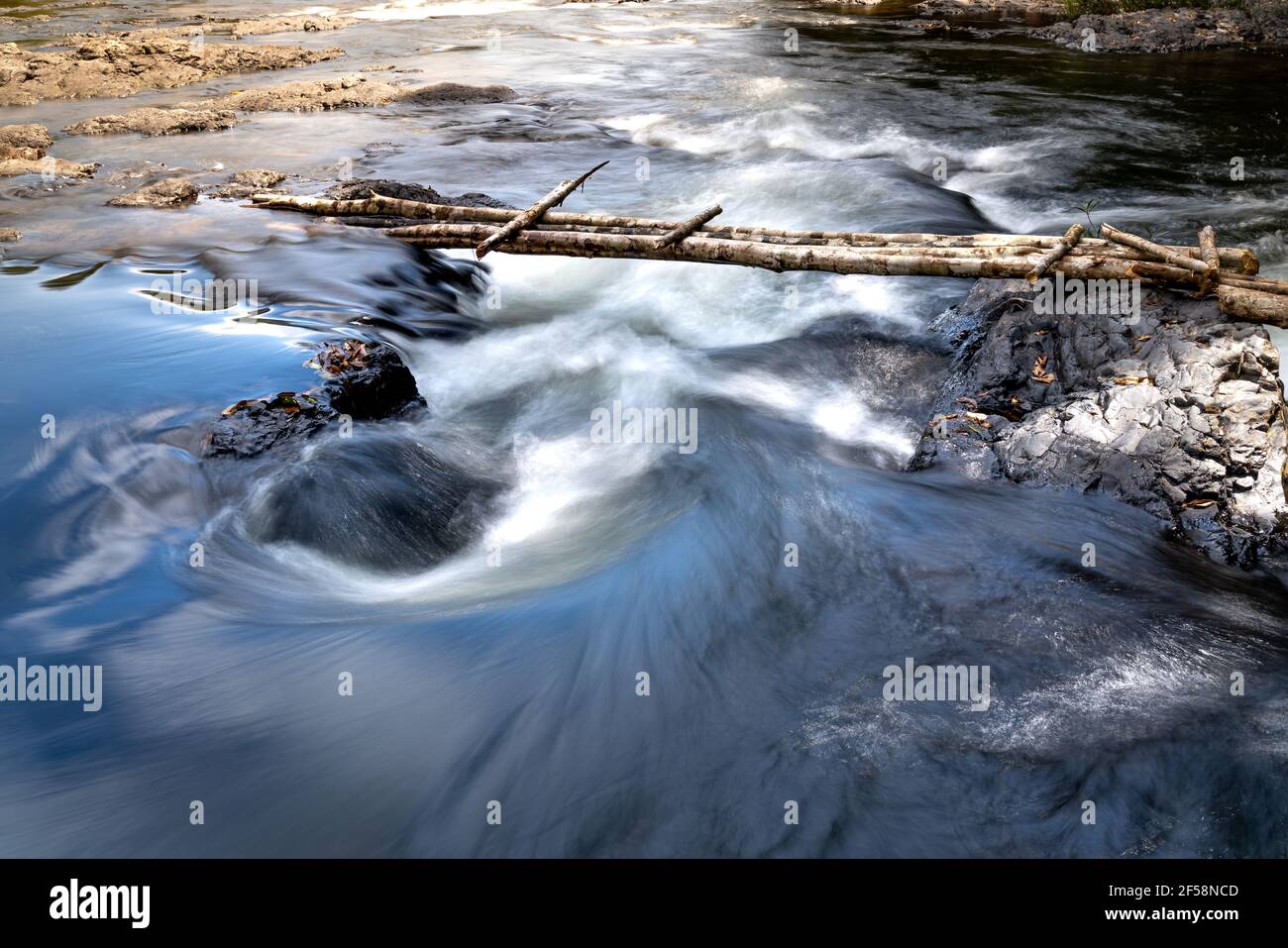 Small wooden bridge spanning stream in tropical forest Stock Photo - Alamy