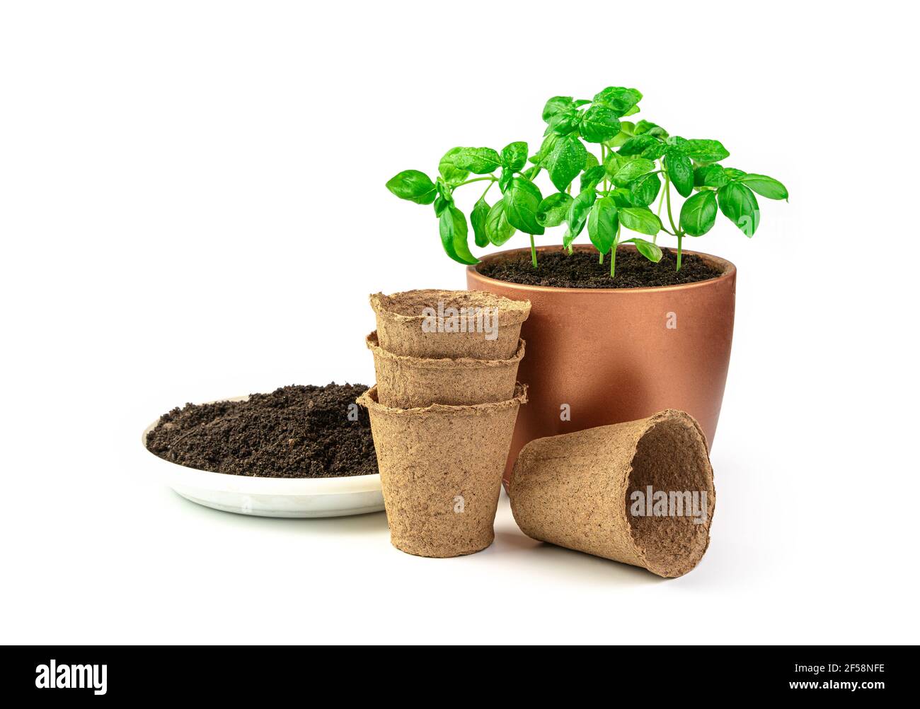 Healthy soil dirt side view Cut Out Stock Images & Pictures - Alamy