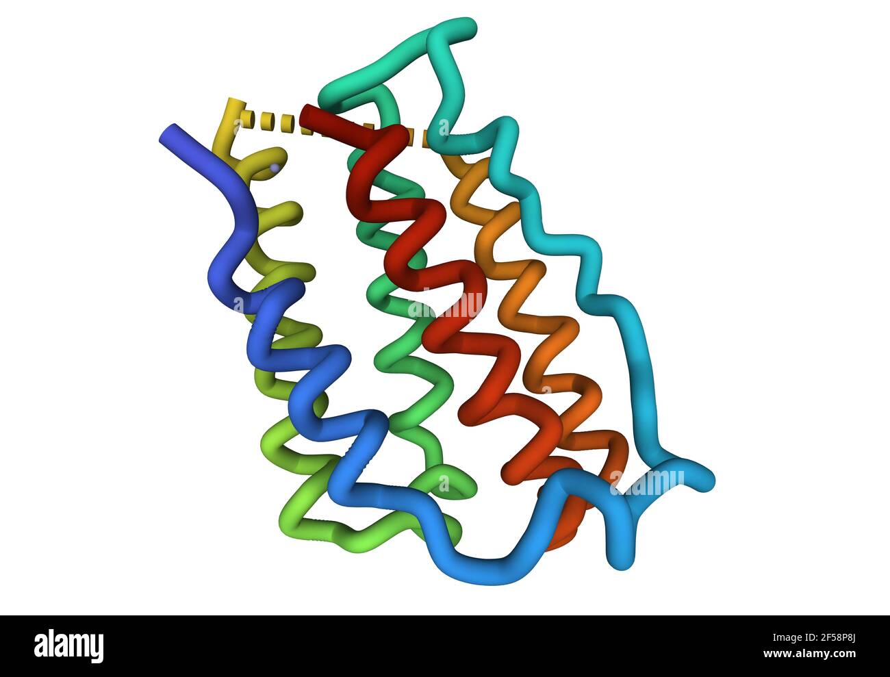 Structure of the recombinant human interferon-alpha 2B, 3D cartoon ...