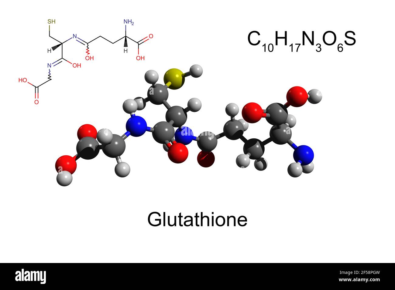 Glutathione molecule hi-res stock photography and images - Alamy