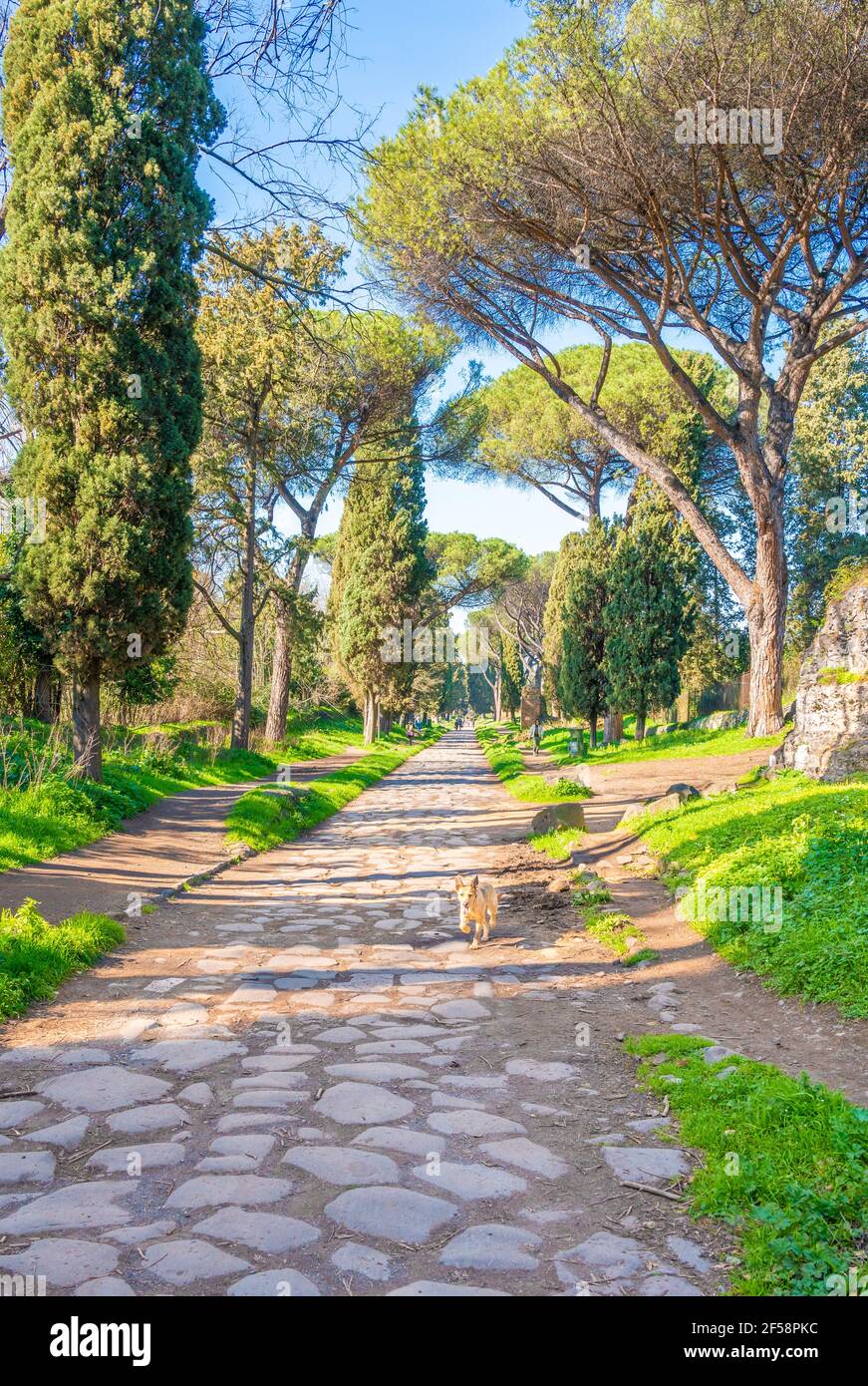 Rome (Italy) - The archeological ruins in the Appian Way of Roma (in italian: "via Appia Antica ...