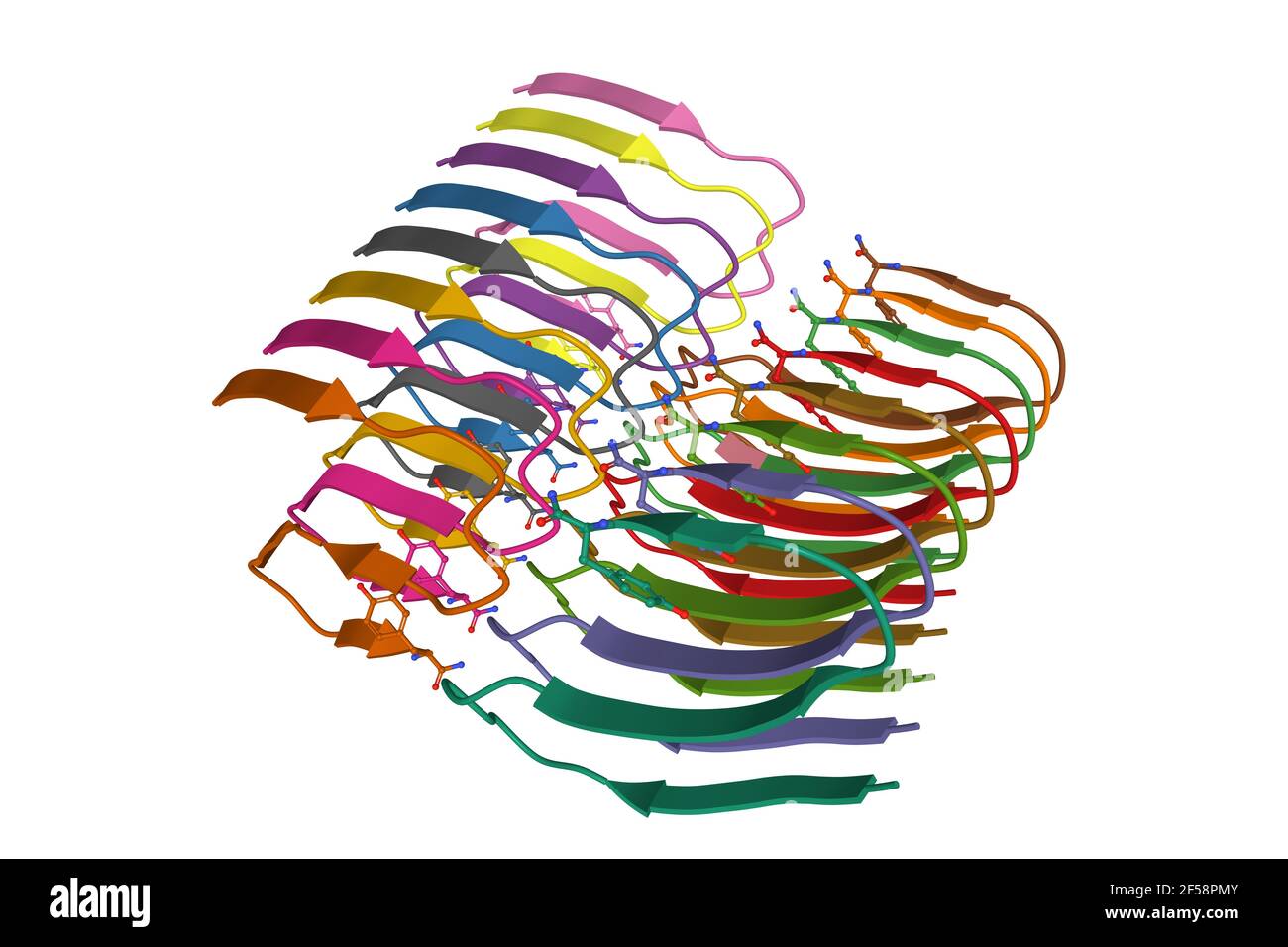 Amyloid fibril structure of islet amyloid polypeptide, 3D cartoon model ...