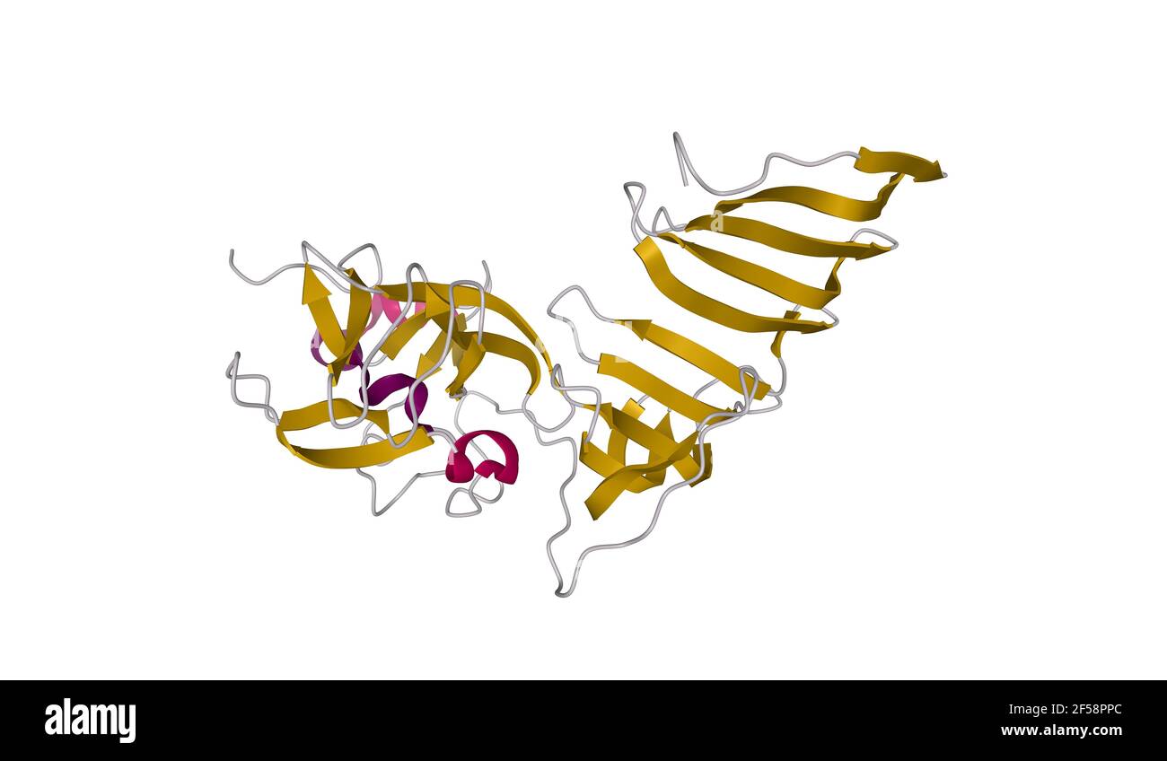 Histone Methylation Animation