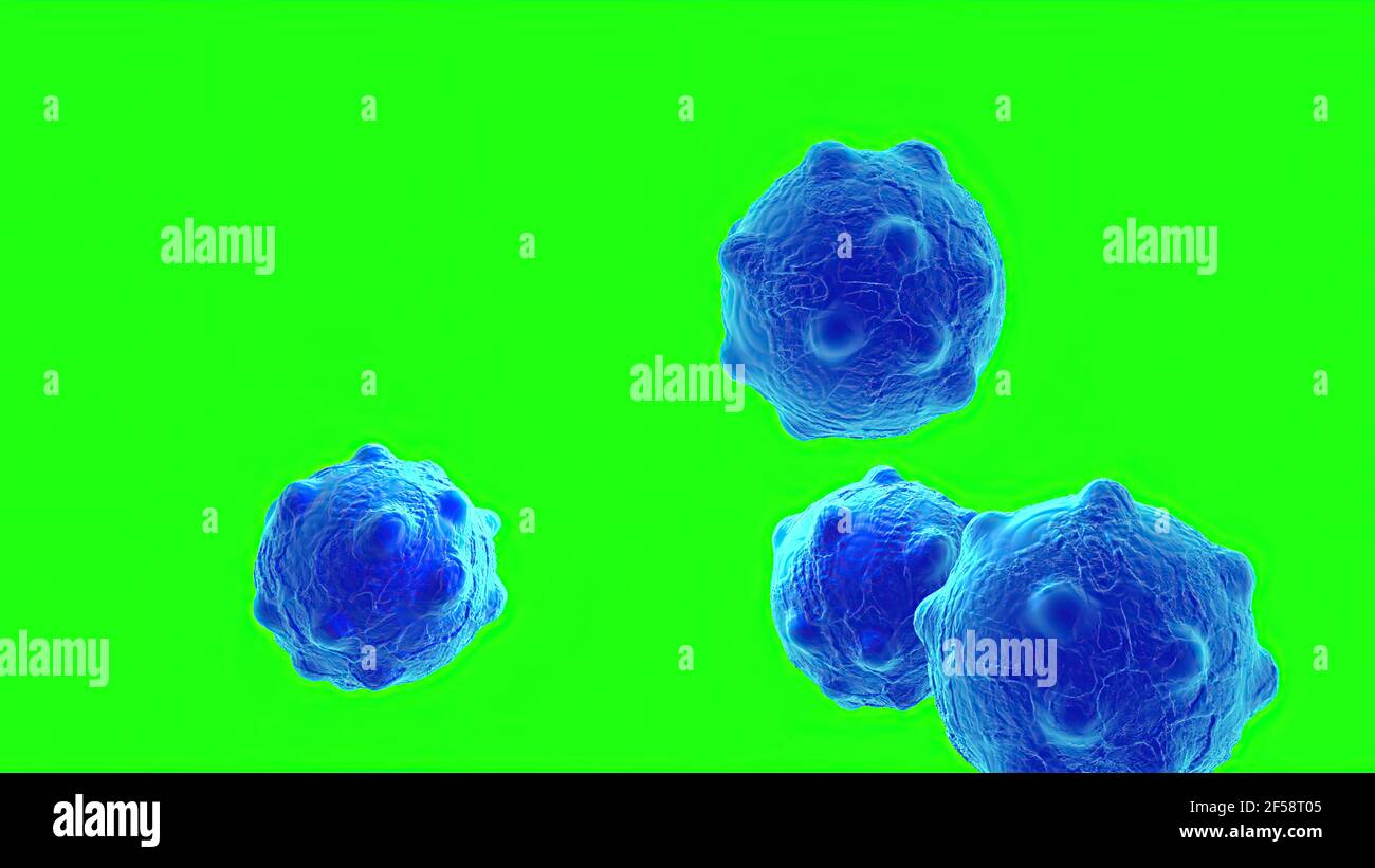 cancer cells with high details on green screen Stock Photo - Alamy