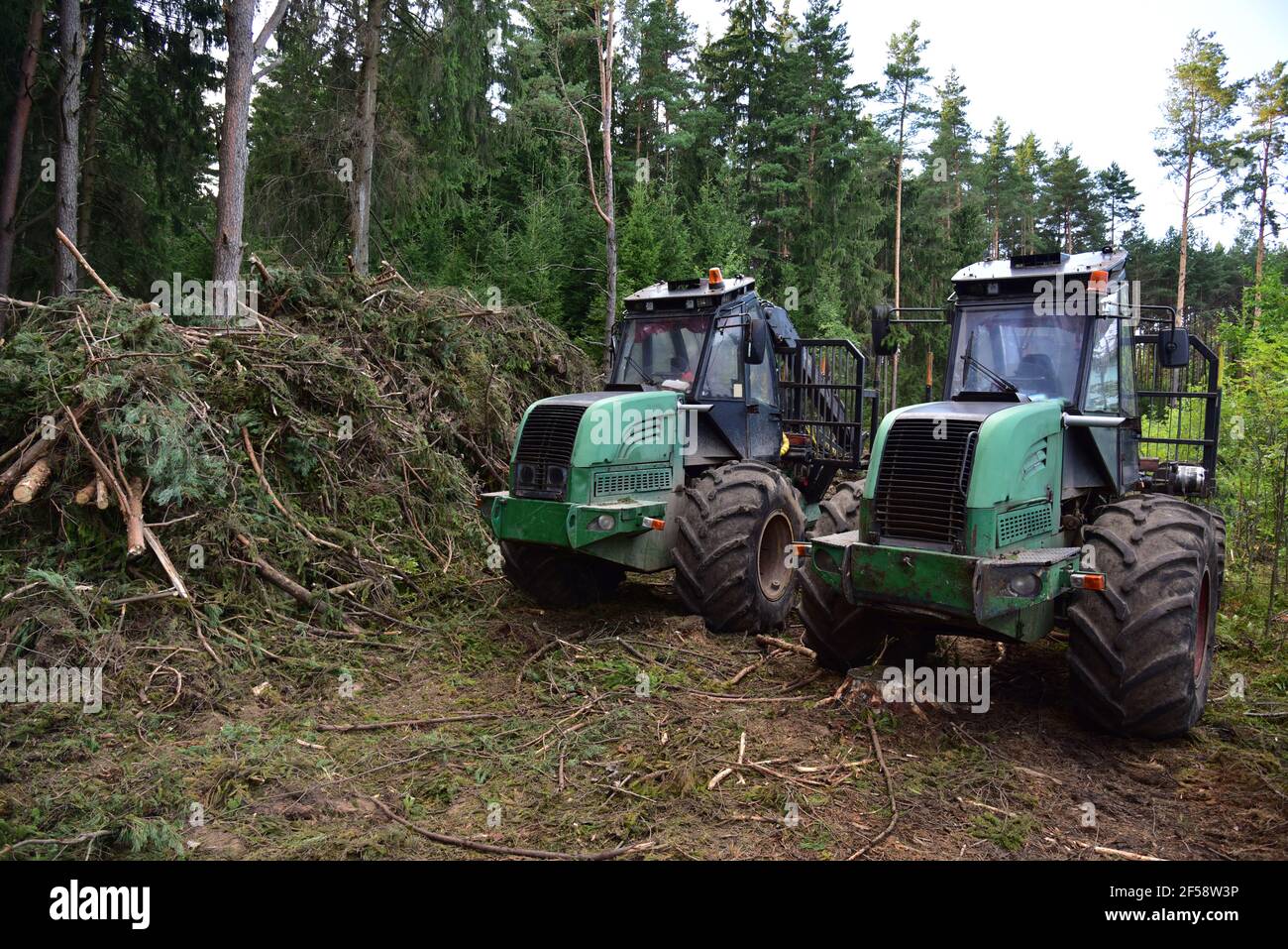 Crane forwarder machines at during clearing of a plantation. Wheeled ...