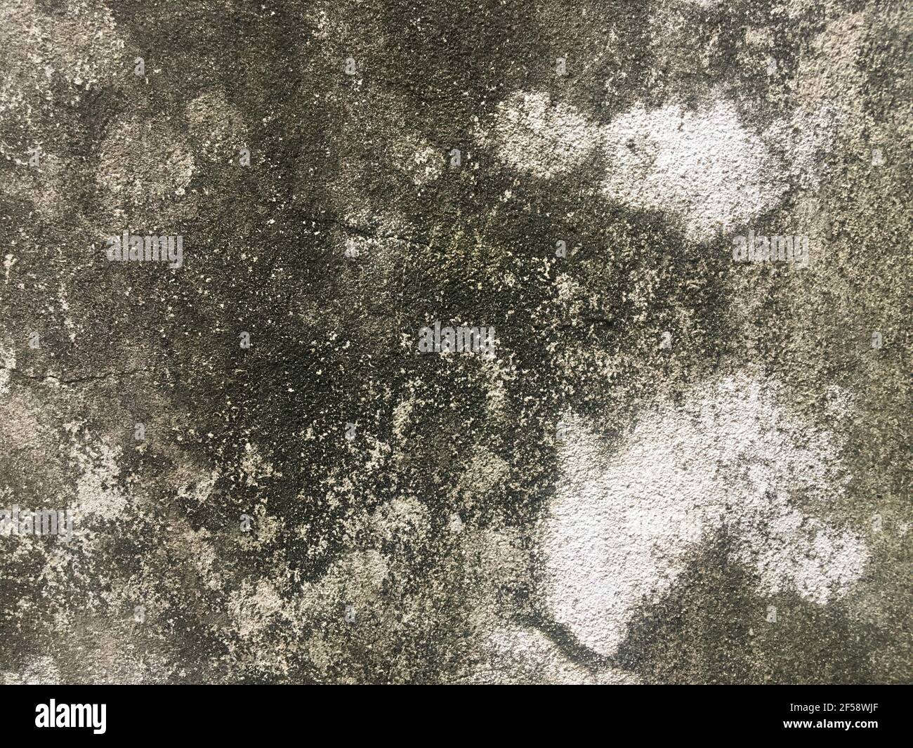 Concrete texture for background with copy space, Top view Stock Photo ...