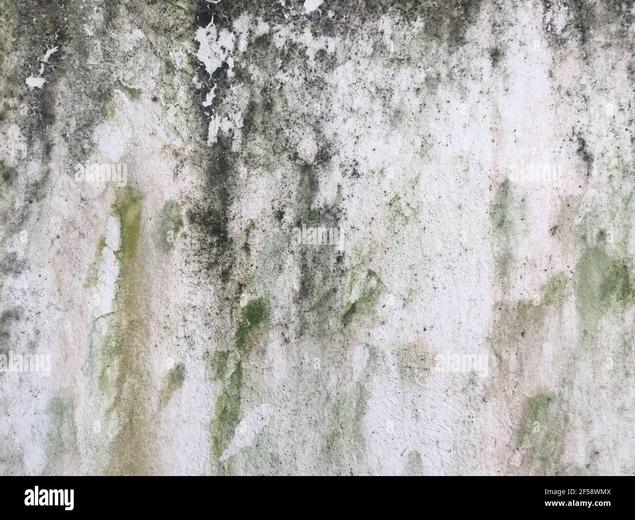 Concrete texture wall space background for design Stock Photo - Alamy