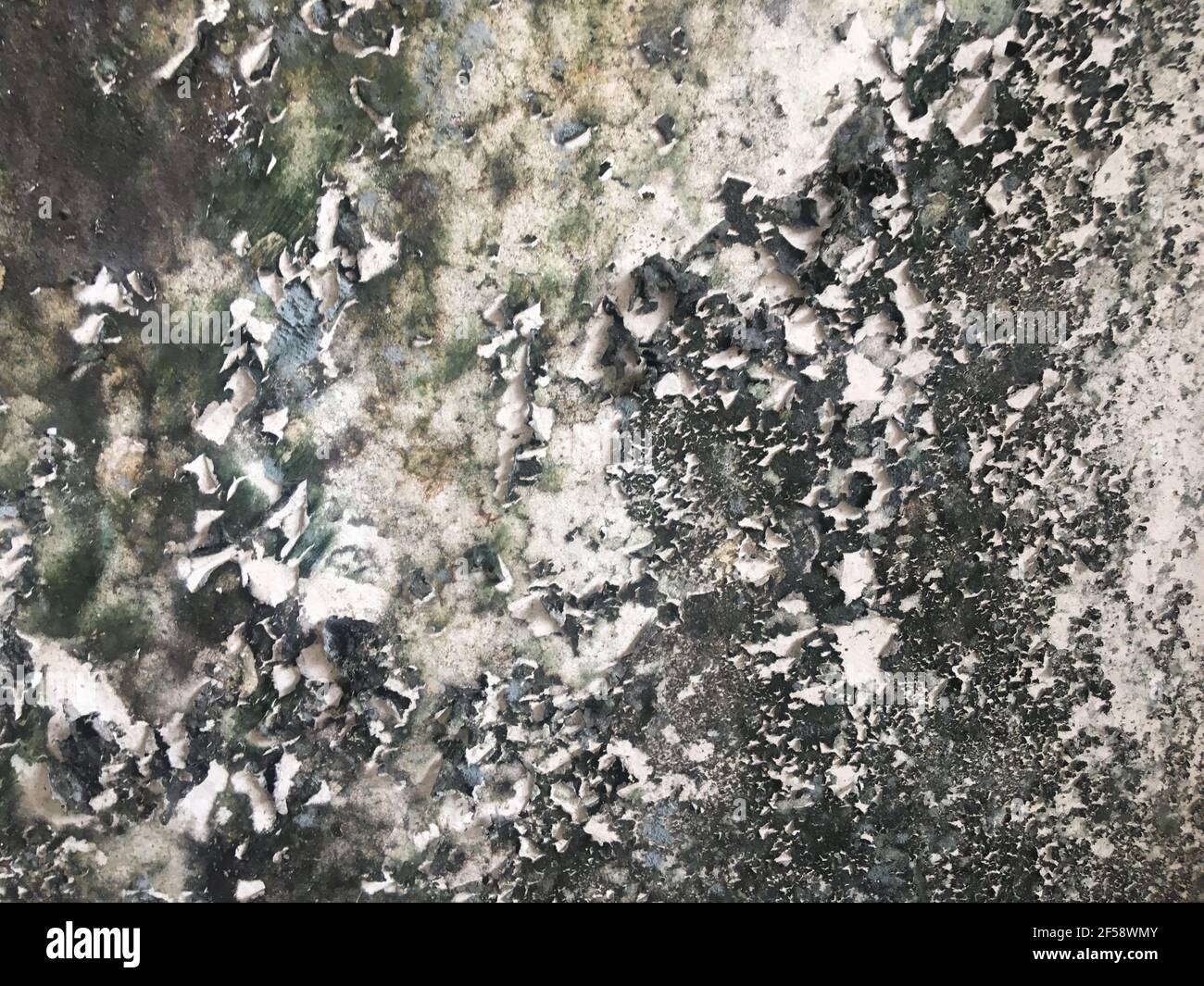 Concrete texture wall space background for design Stock Photo - Alamy