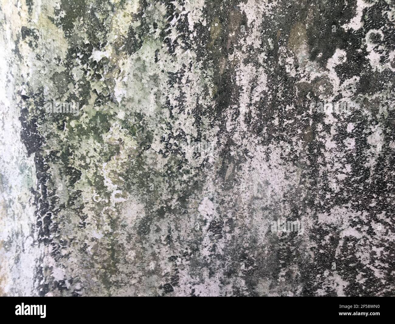 Concrete texture wall space background for design Stock Photo - Alamy
