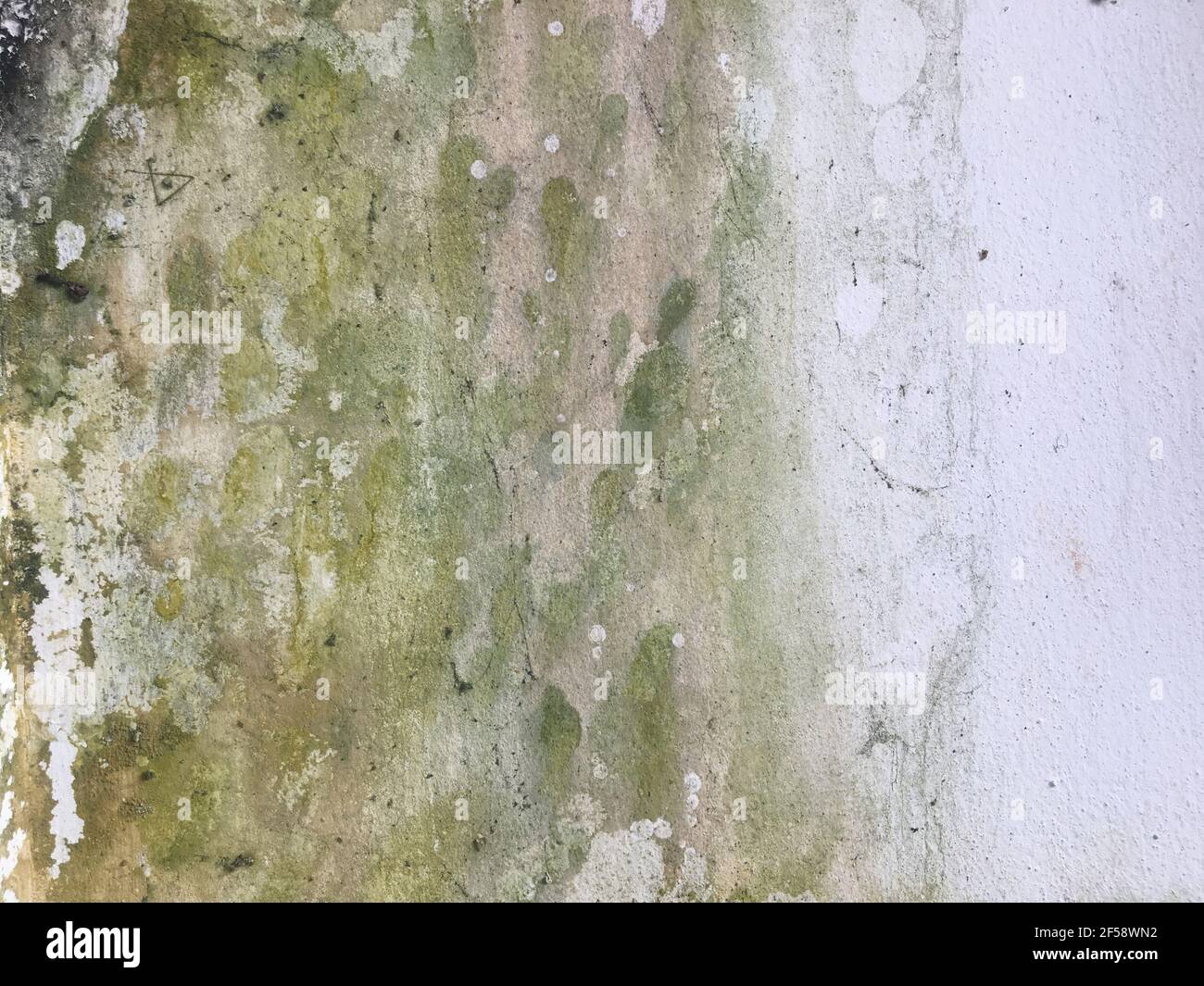 Concrete texture wall space background for design Stock Photo - Alamy