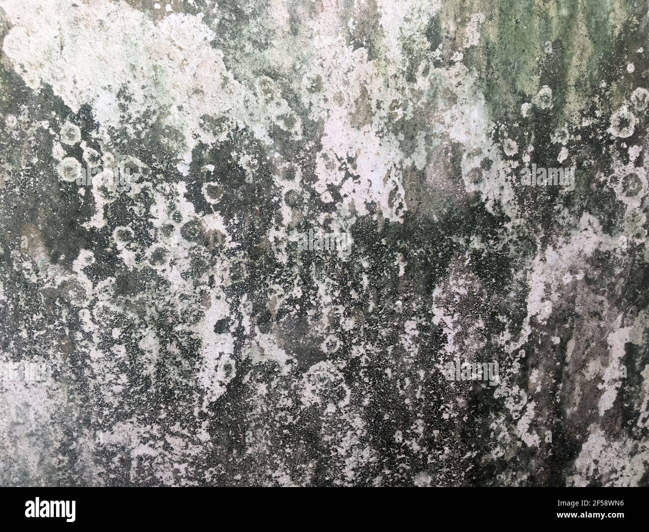 Concrete texture wall space background for design Stock Photo - Alamy