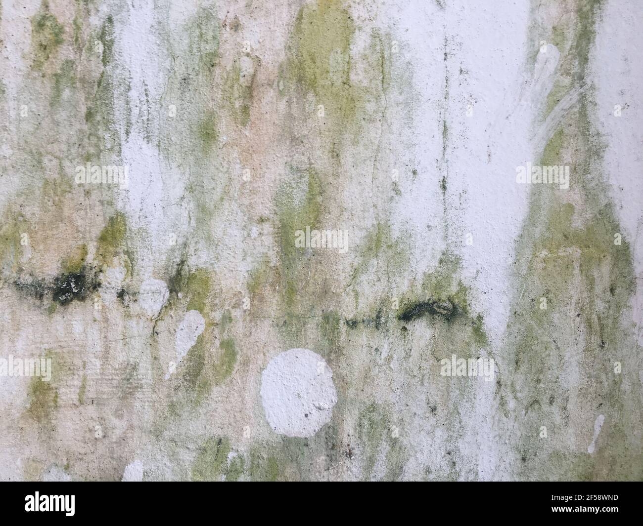 Concrete texture wall space background for design Stock Photo - Alamy