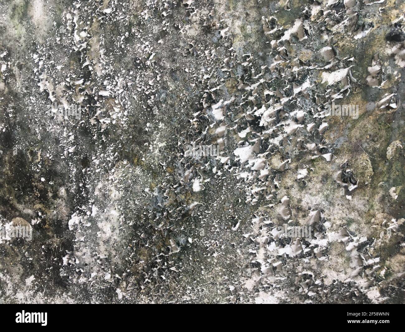 Concrete texture wall space background for design Stock Photo - Alamy