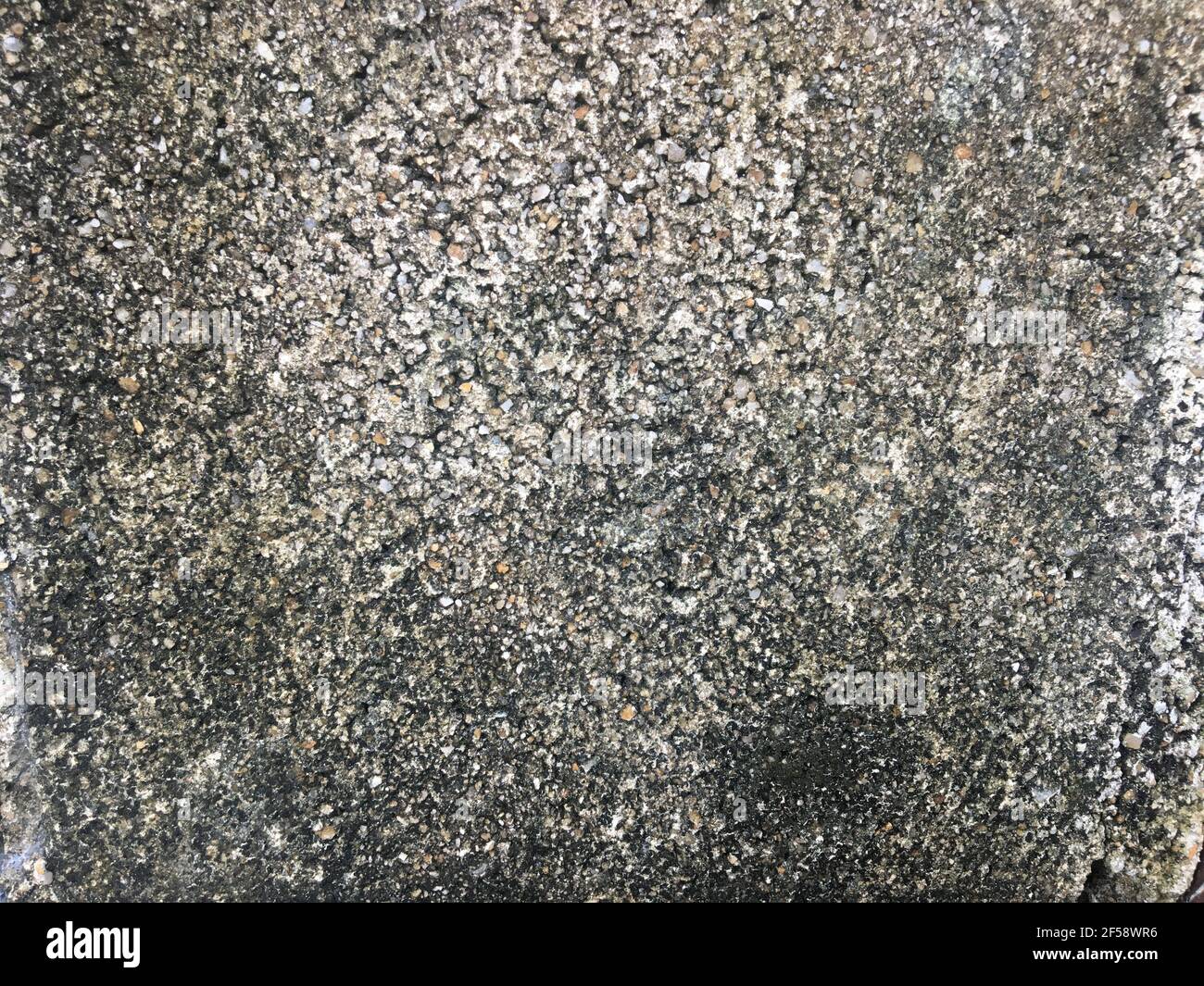 Concrete texture wall space background for design Stock Photo - Alamy