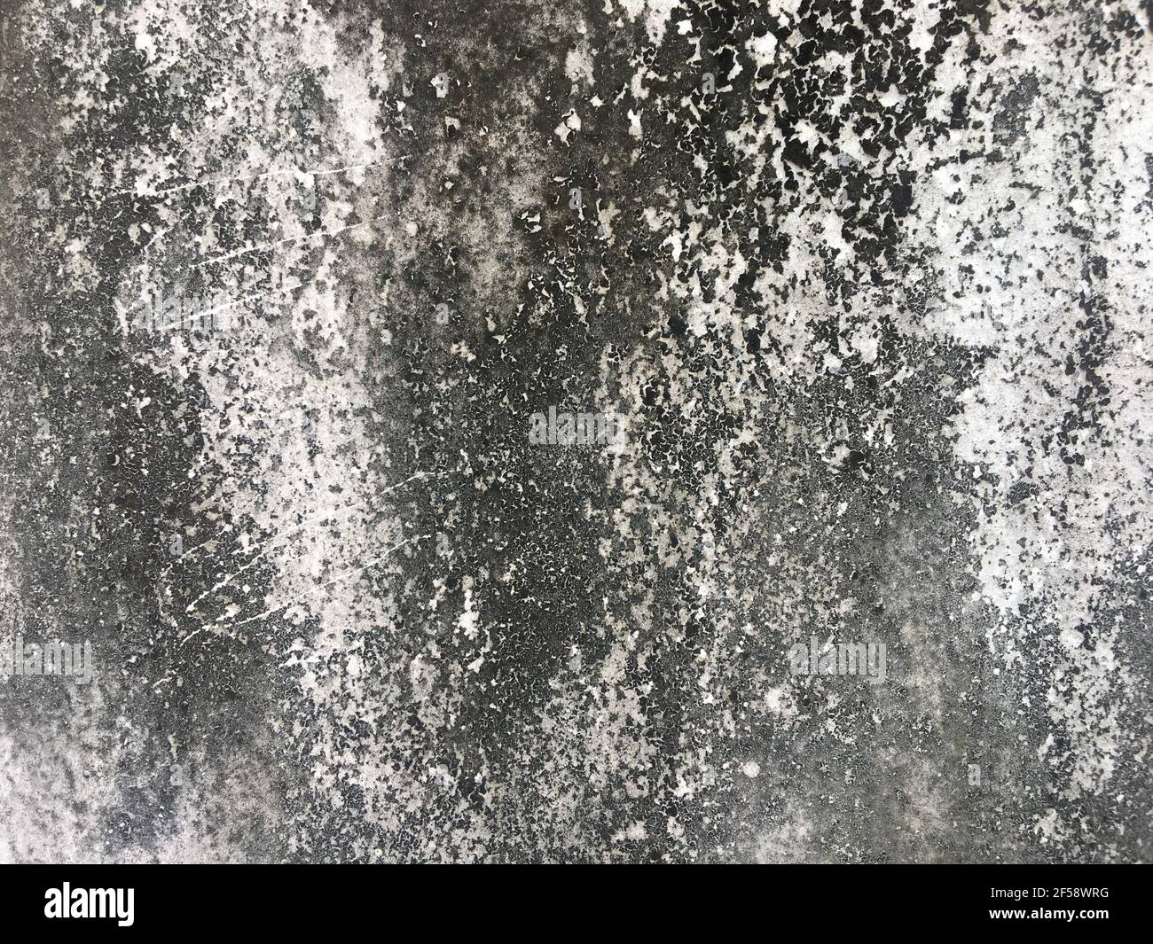 Old concrete wall texture for background with copy space for work Stock ...