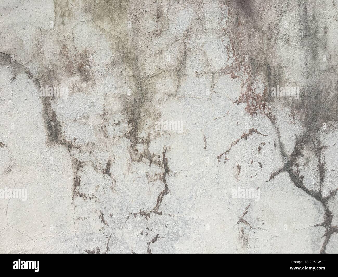 Concrete abstract texture background for design Stock Photo - Alamy