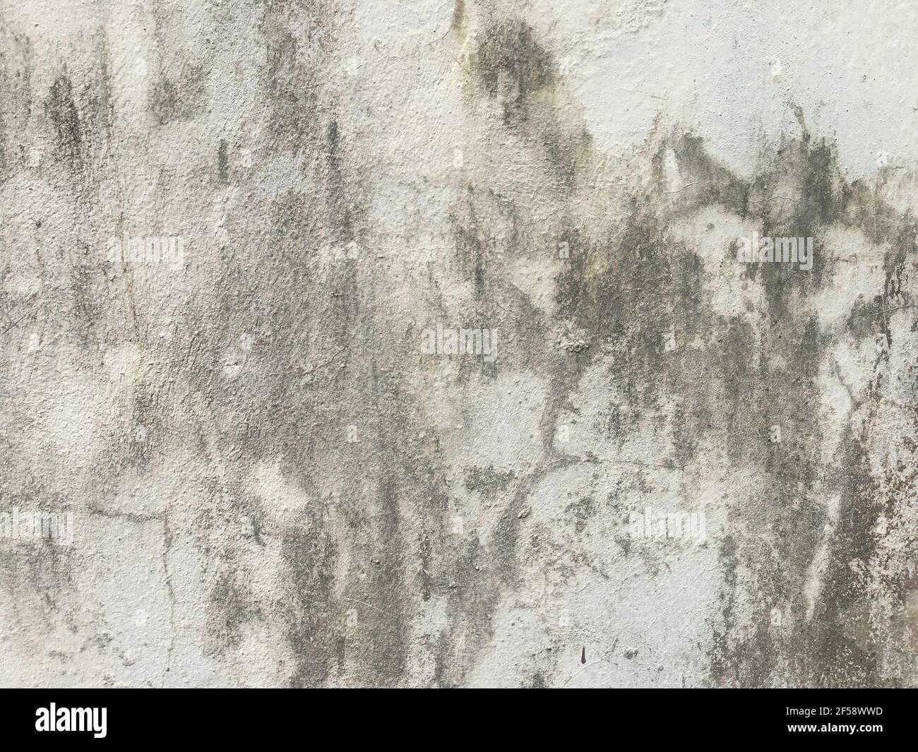 Concrete abstract texture background for design Stock Photo - Alamy