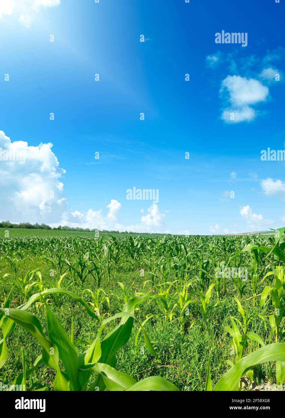 Sunbeam over the land hi-res stock photography and images - Alamy
