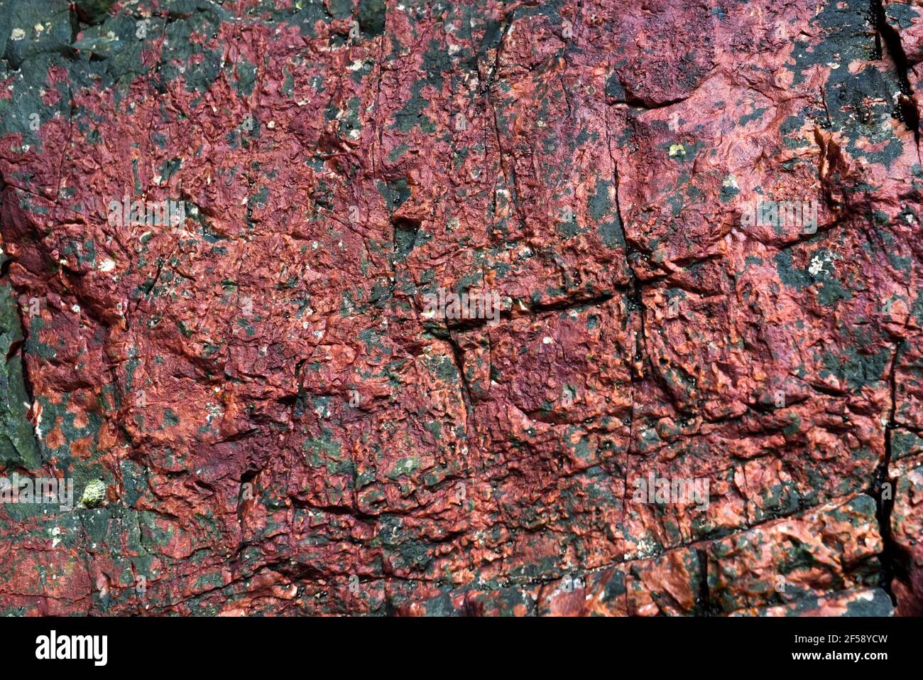 Red rock texture, geological phenomenon in the rocks above the atlantic ...