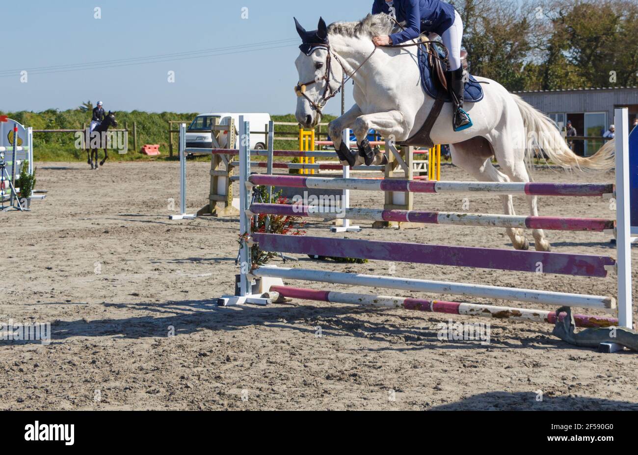 Woman and white horse jumping a fence Stock Photo - Alamy