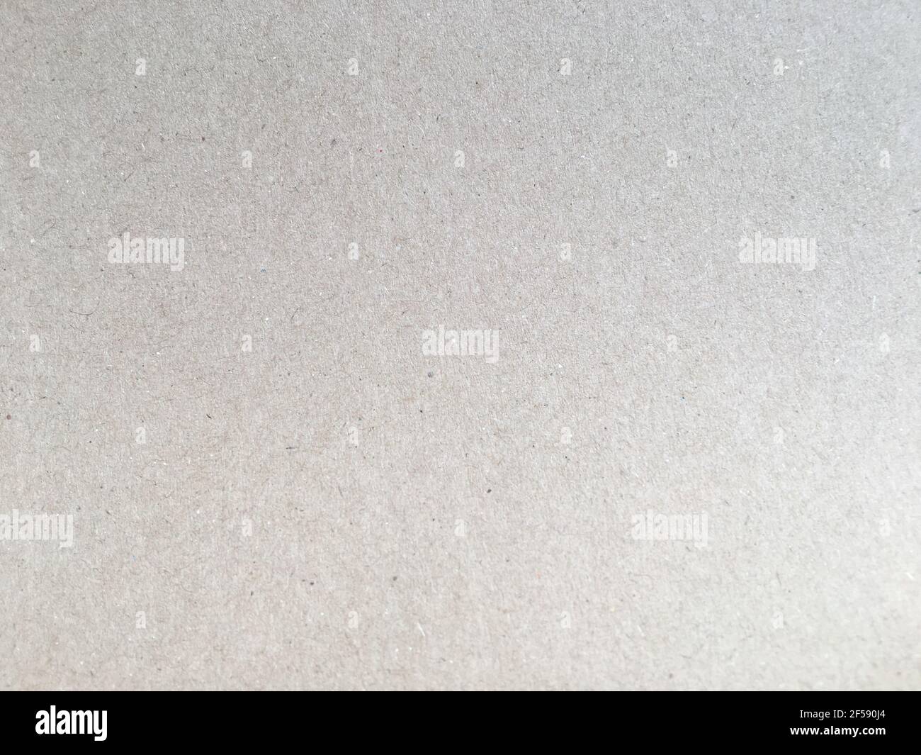 White paper texture background with copy space for design. nature ...