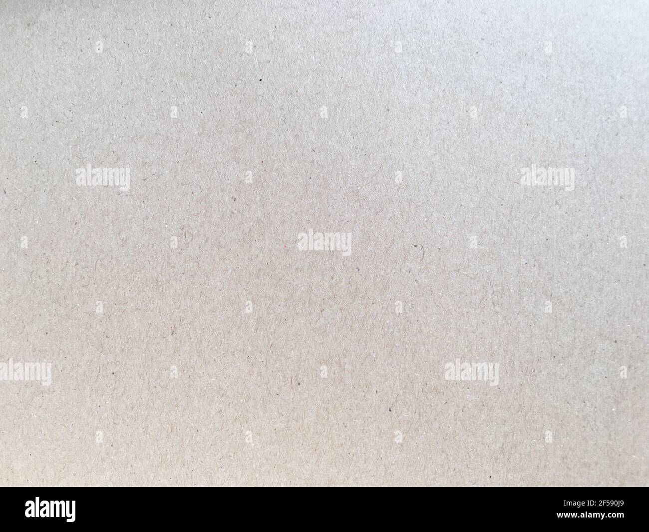 White paper texture background with copy space for design. nature ...