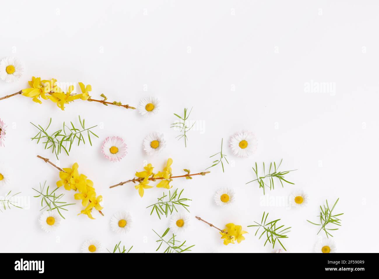 Spring frame of small flowers and daisy, floral arrangement Stock Photo ...