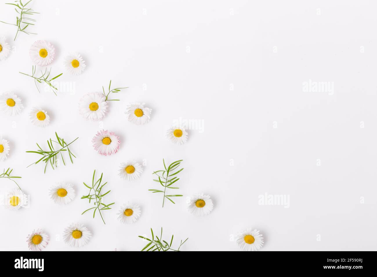 Spring frame of small flowers and daisy, floral arrangement Stock Photo ...