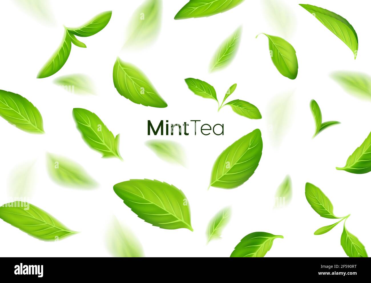 Realistic fresh mint tea green leaves on white background, tea and herb ...