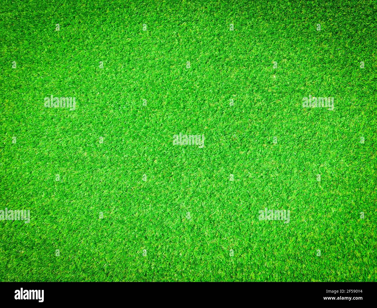 Beautiful green grass pattern from golf course for background. Copy ...