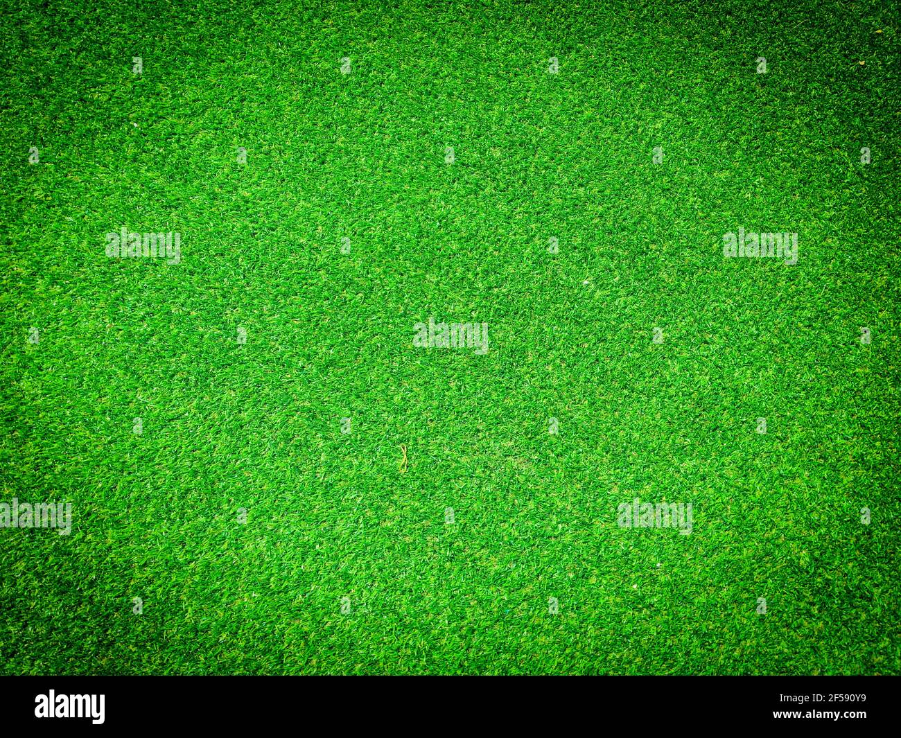 Beautiful green grass pattern from golf course for background. Copy ...