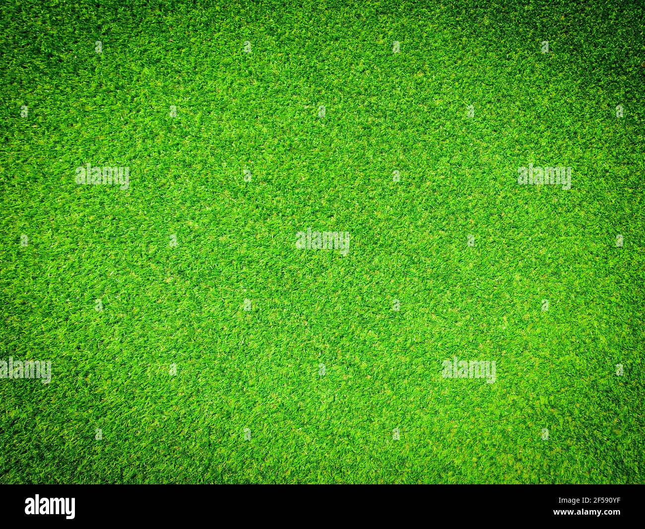 Beautiful green grass pattern from golf course for background. Copy ...