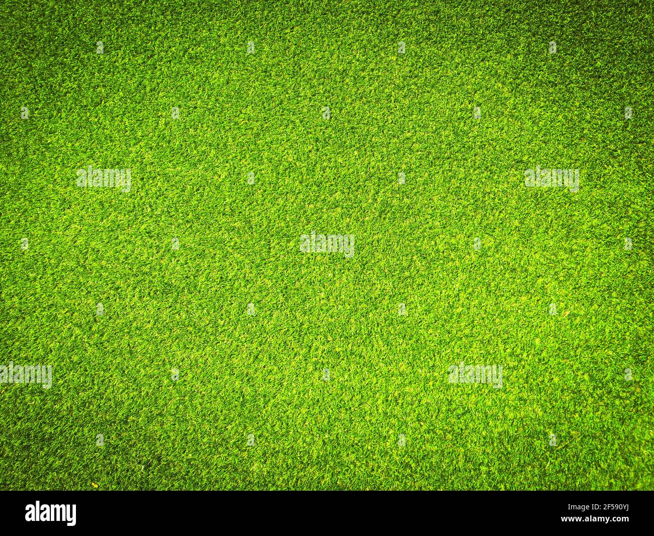 Beautiful green grass pattern from golf course for background. Copy ...